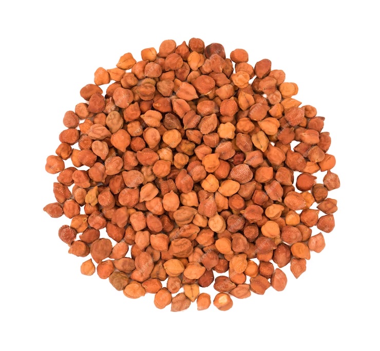 Igrain Posts