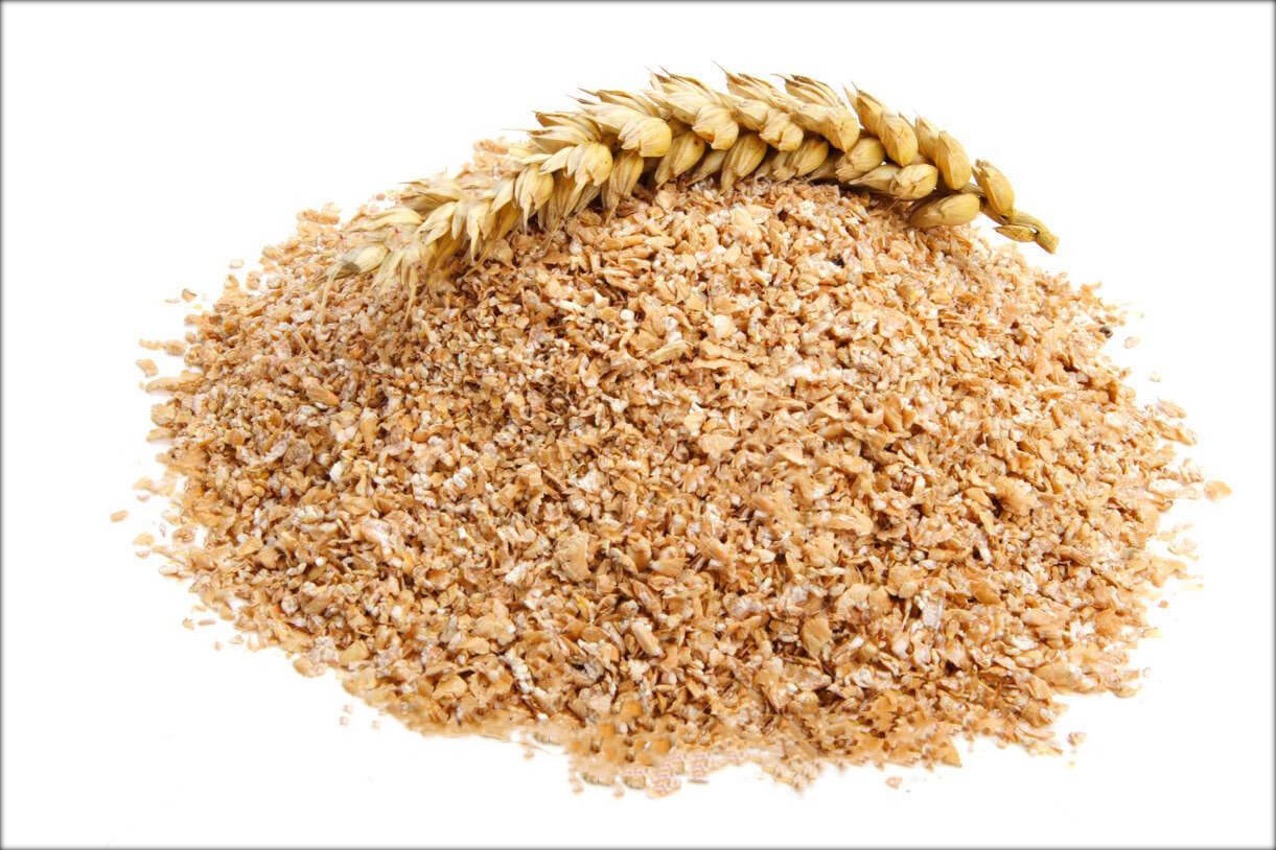 Igrain Posts