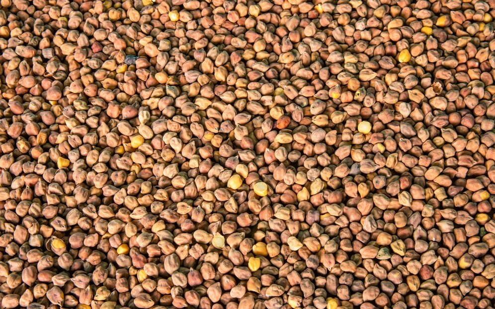 Igrain Posts
