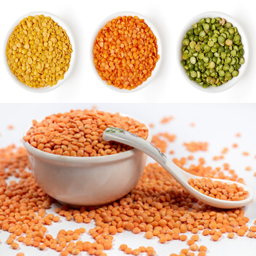 Igrain Posts