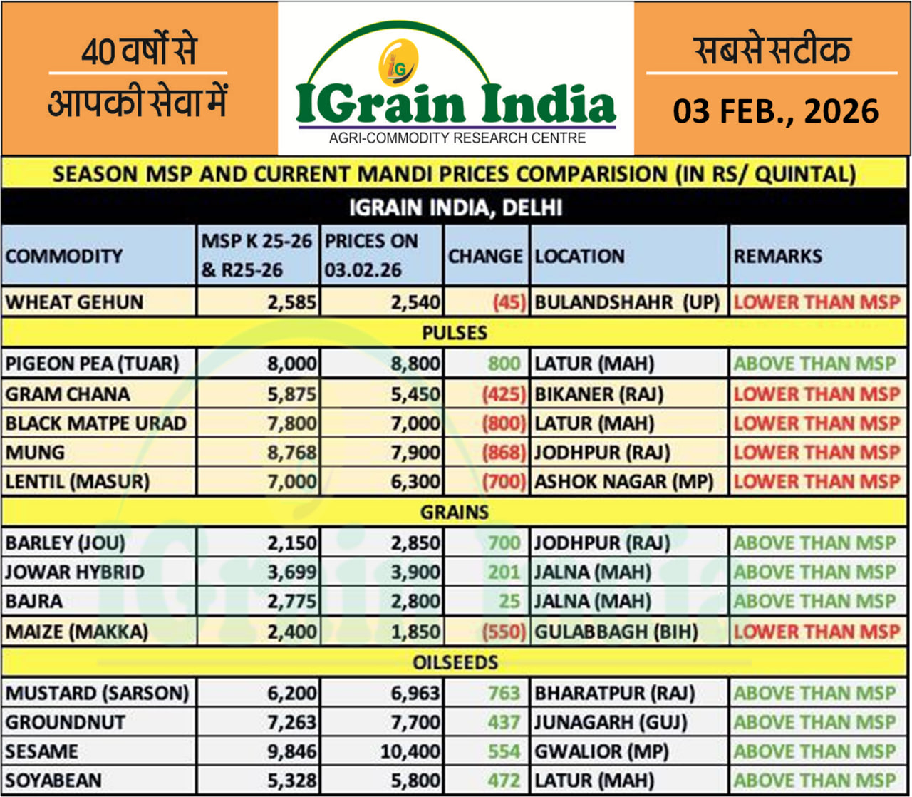 Igrain Posts